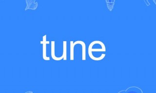 tune是什么意思 汽车上tune什么意思_伊秀经验